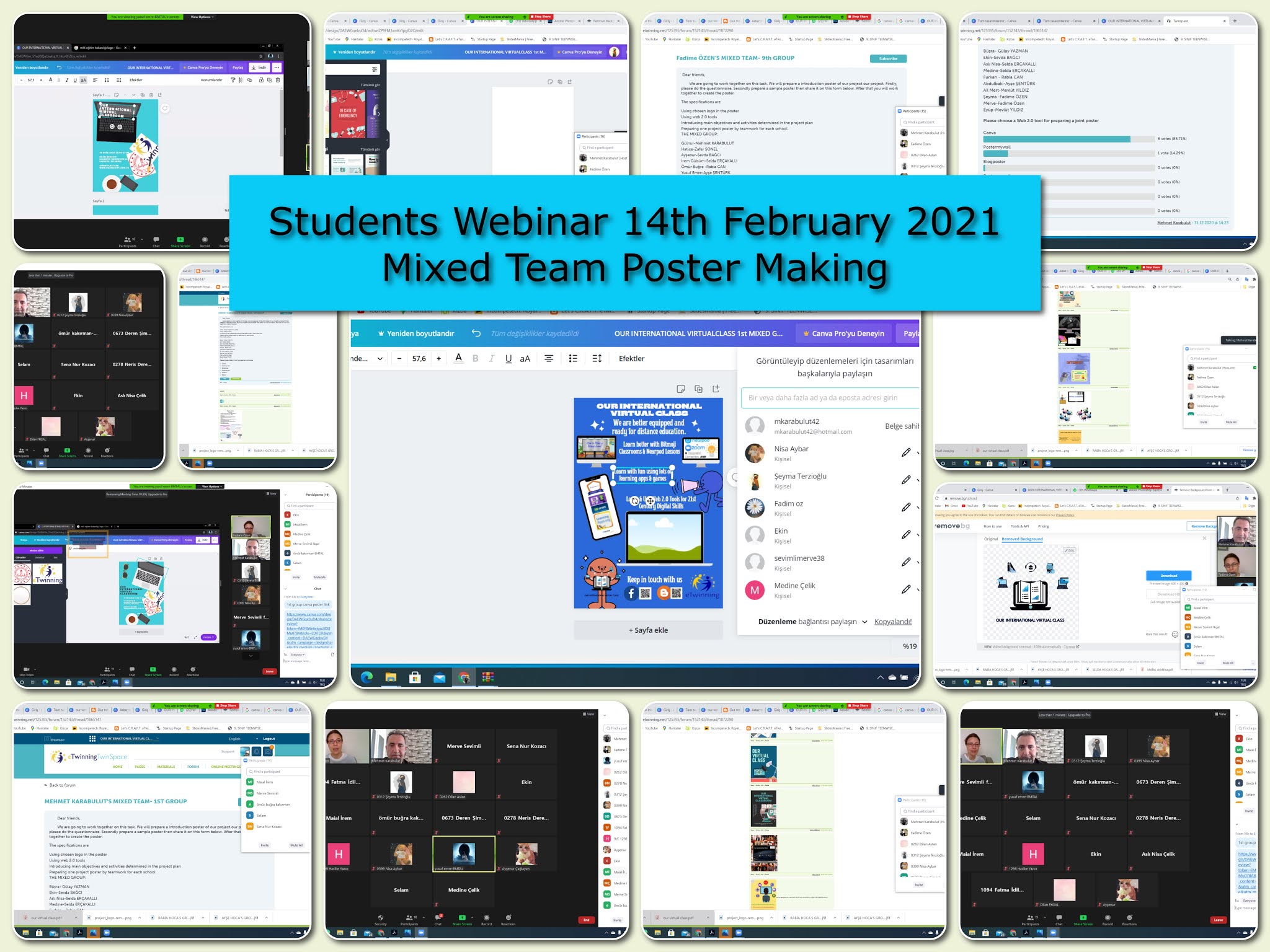 Our International Virtual Class: Students' Webinars