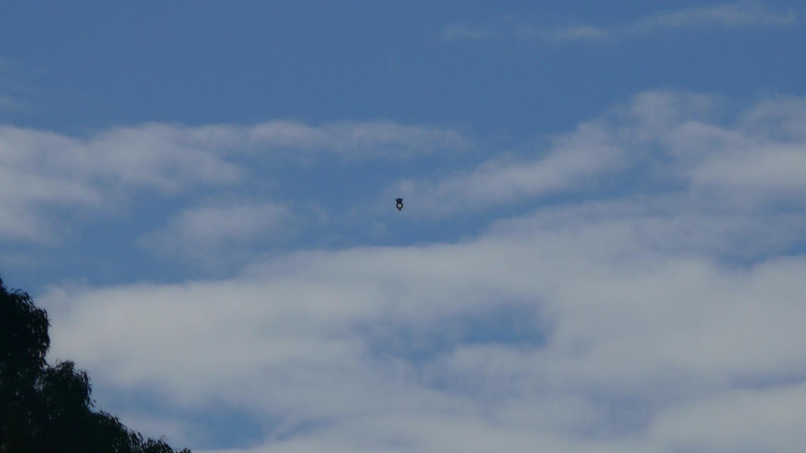 Unidentified Aerial Phenomena - scientific research: A new type of IFO ...