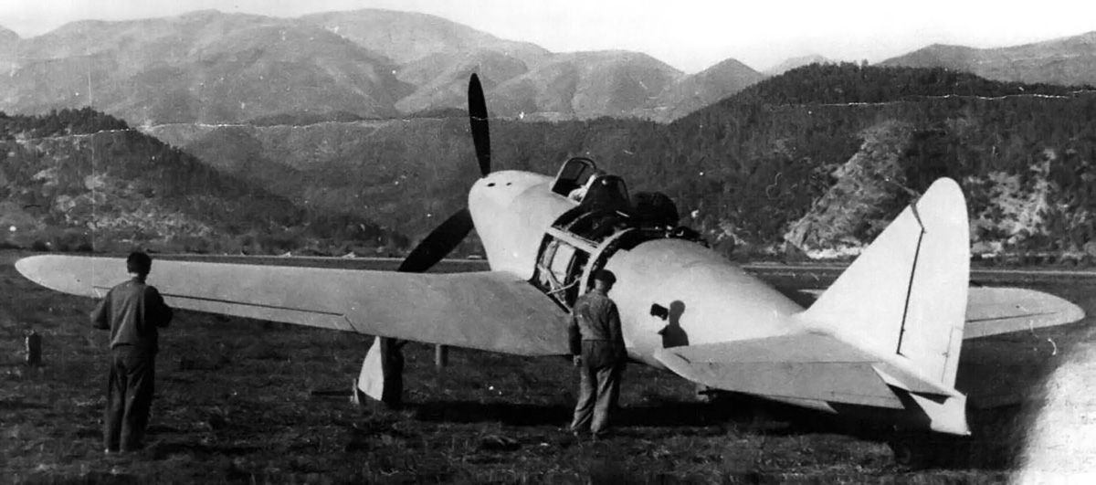 SI VIS PACEM, PARA BELLUM: Il Piaggio P.119 era un caccia monomotore ad ...