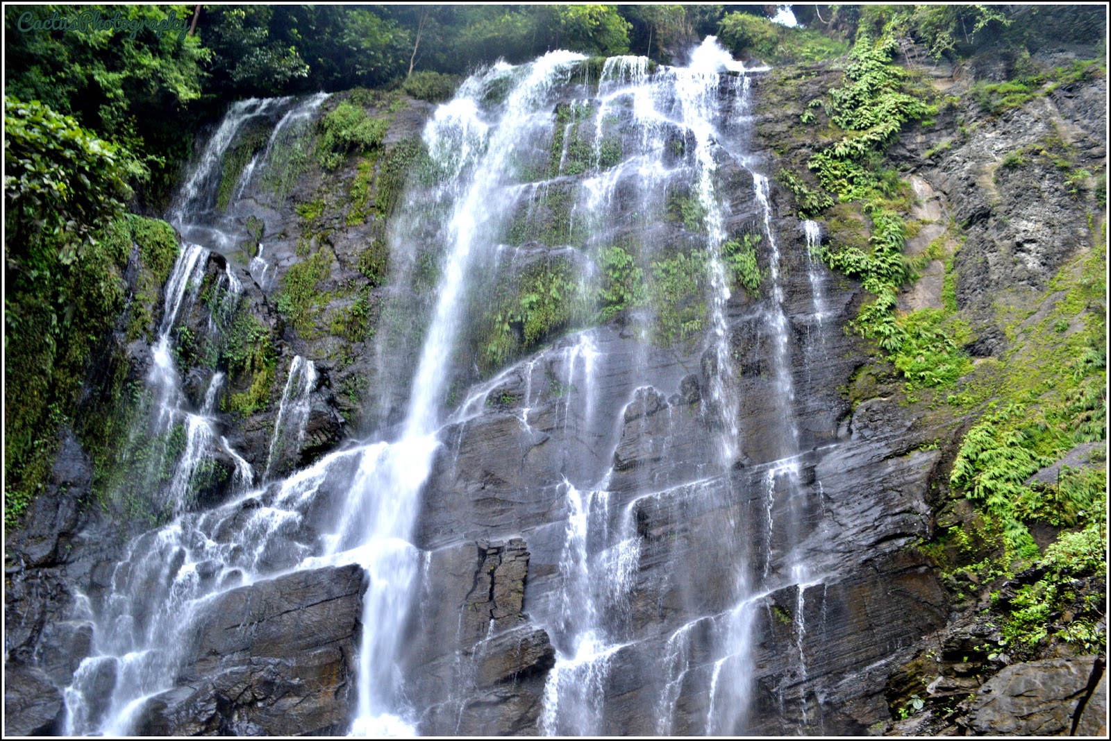 Exploring Jadipai Water Fall | Best Travel Guide | Trip Navigation ...