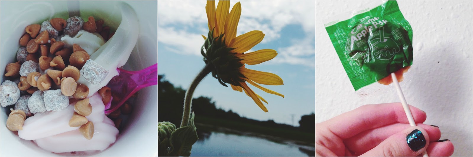 tidbits of life. — wildbloom