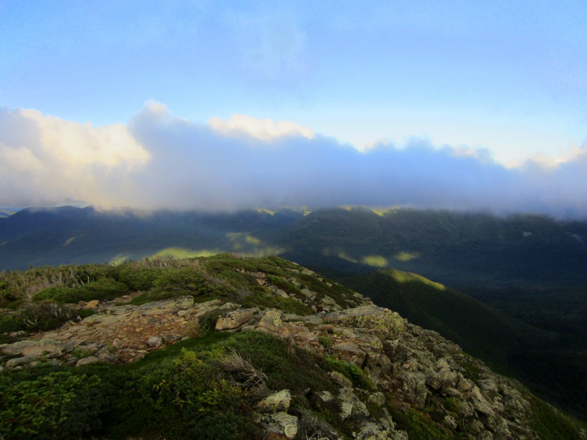 CO-Runner: The Pemi Loop