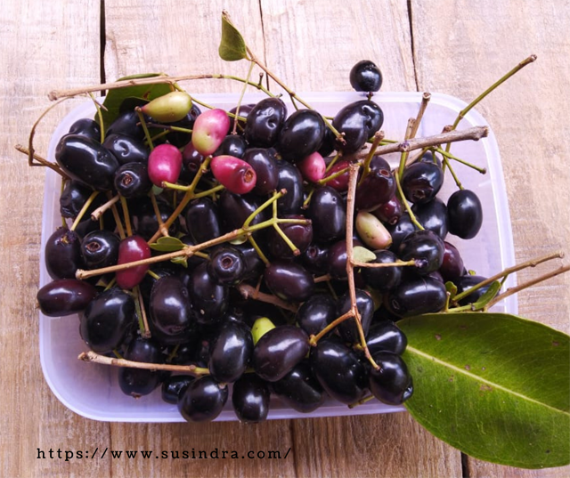 18 Manfaat Juwet yang Harus Kita Tahu