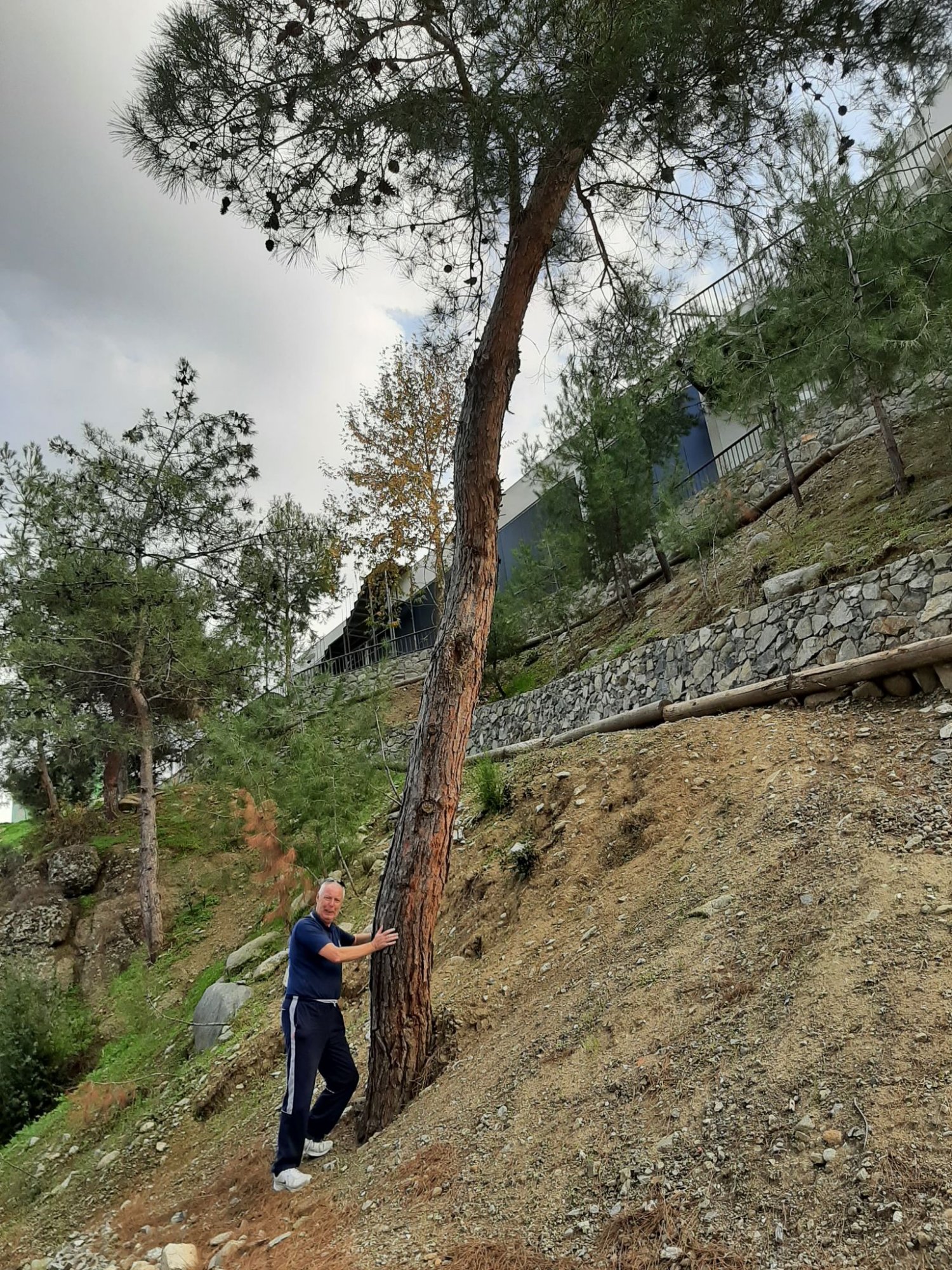 A new life planned in Cyprus: Road Trip to Pelentri