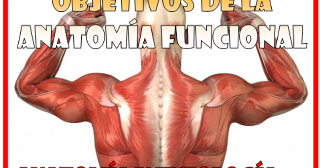 Objetivos de la Anatomía funcional [Anatomía y Fisiología] ~ Optifutura