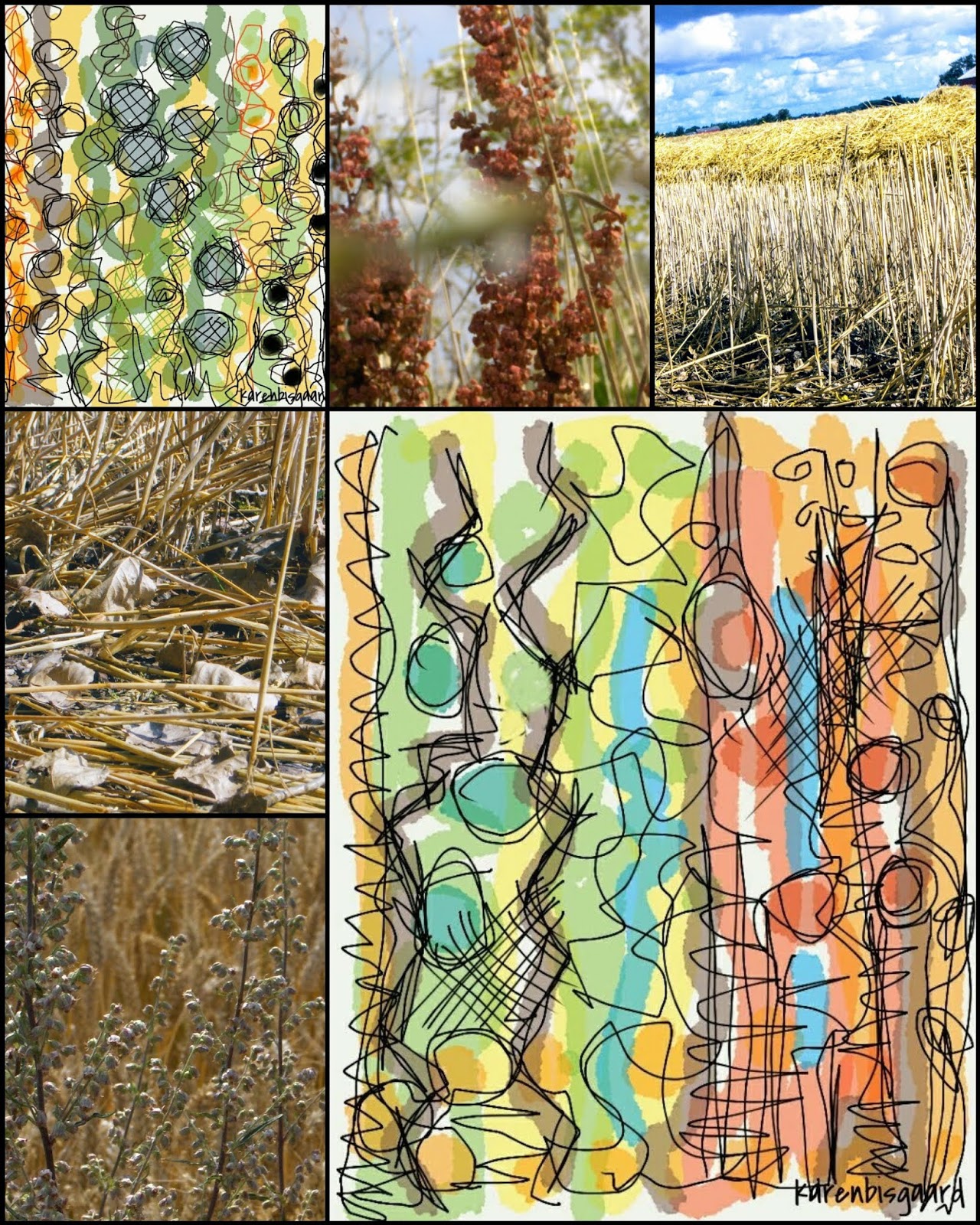 Karen`s Nature Photography: Rural Late Summer Picture Collage.