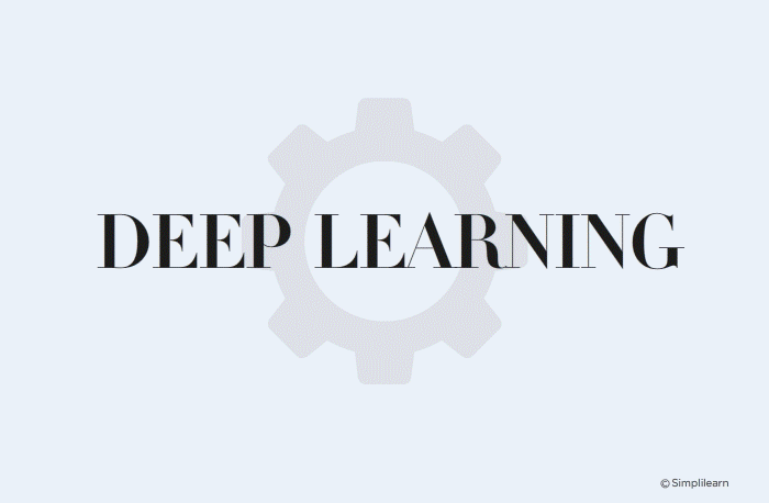 Deep Learning - NewtronLearner