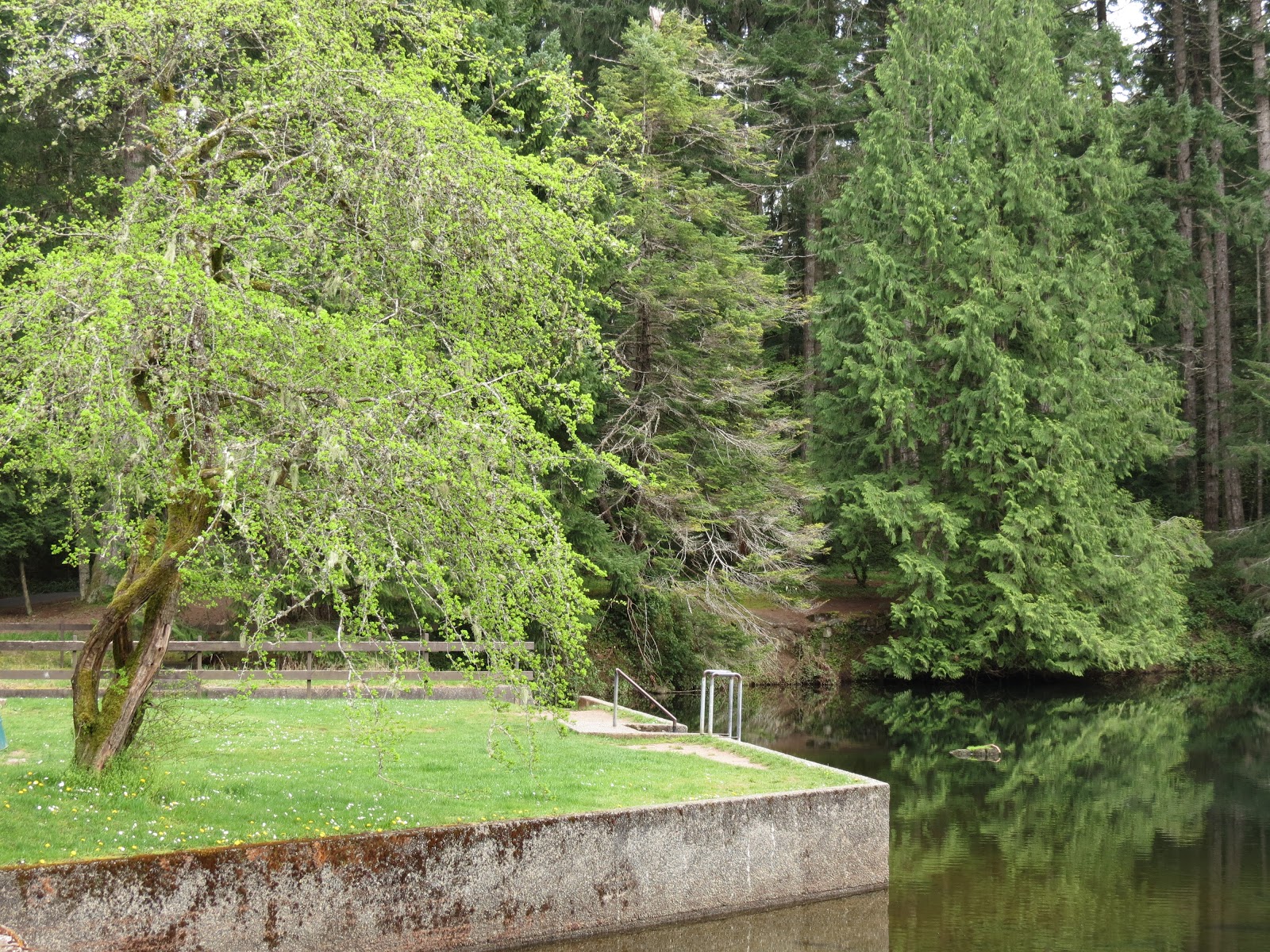 Everything Nanaimo: COLLIERY DAM PARK