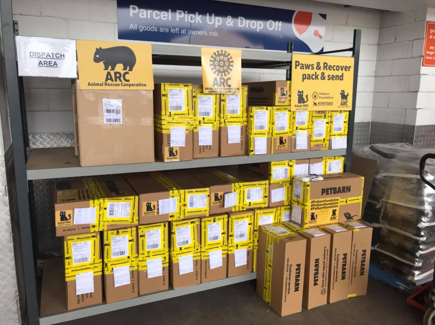 DOG NEWS | Australian Dog Lover