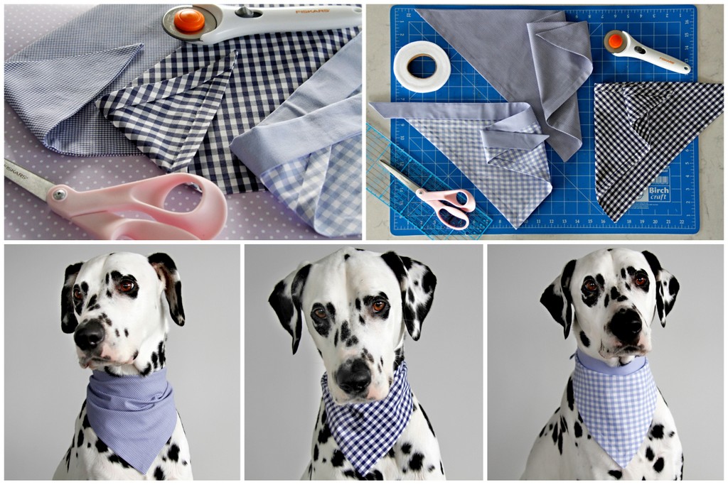 Craft For Your Local Shelters Day 5 Crafts To Donate To An Animal Sh Furbo Dog Camera Craft For Your Local Shelters Day 5 Crafts To Donate To An Animal Sh Furbo Dog Camera