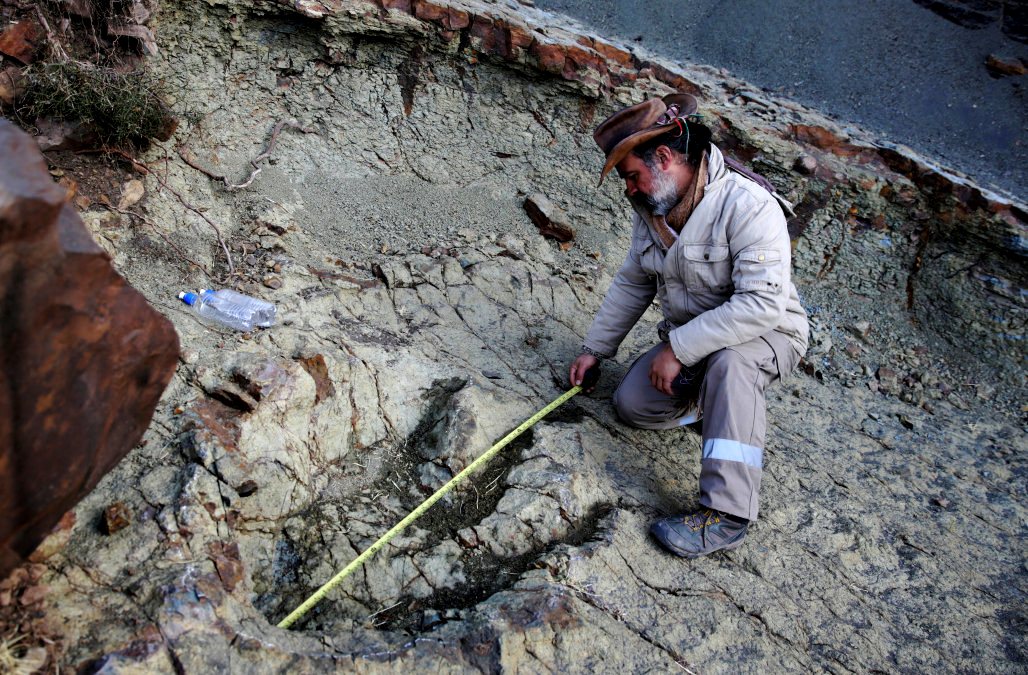 Huge Dinosaur Footprint Discovered in South America | Geology In