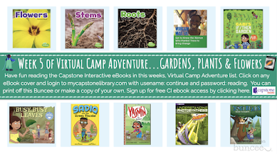 The Library Voice: It's Time For Week 5 Of The Virtual Camp Adventure ...