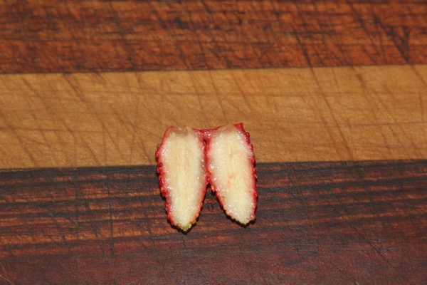 Mudflower: strawberry raspberry hybrid plants