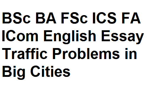 BSc BA ADP English Essay Traffic Problems in Big Cities With Outline ...