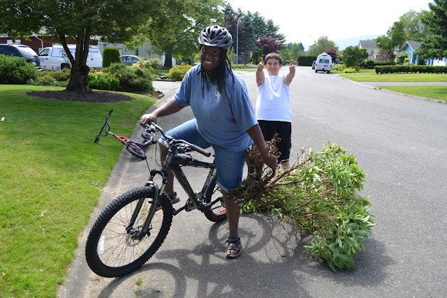 Make this easy and beautiful pallet wood garden walkway! For free!Funky ...