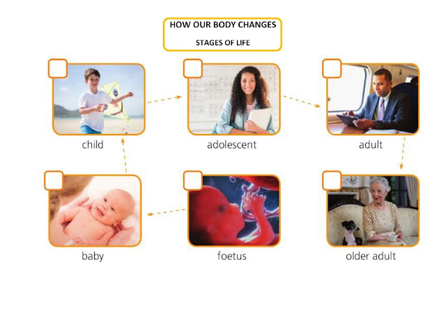 THE SUPER HEROES LEARNING LAND: NATURAL SCIENCE UNIT 1-2