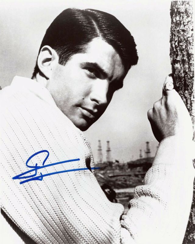 40 Handsome Portrait Photos of American Actor George Hamilton in the ...