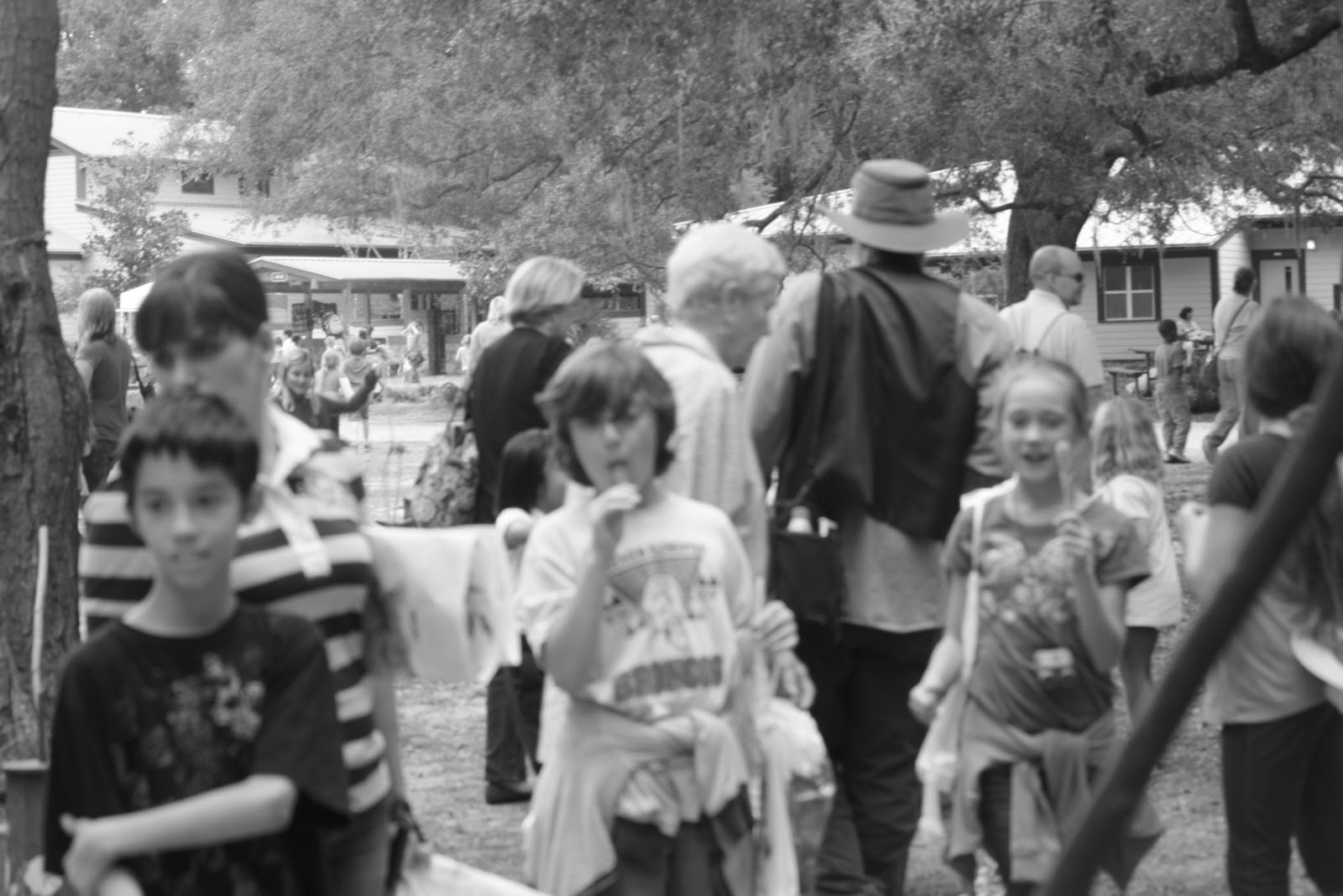 The Blue Whale and Other Travel Tales: Ocali Days at Silver River ...