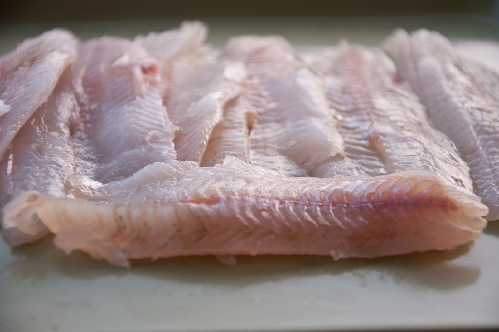 SafariChef: Boneless Perch