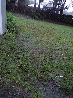 Swedish Corner~Down Under: January 2013