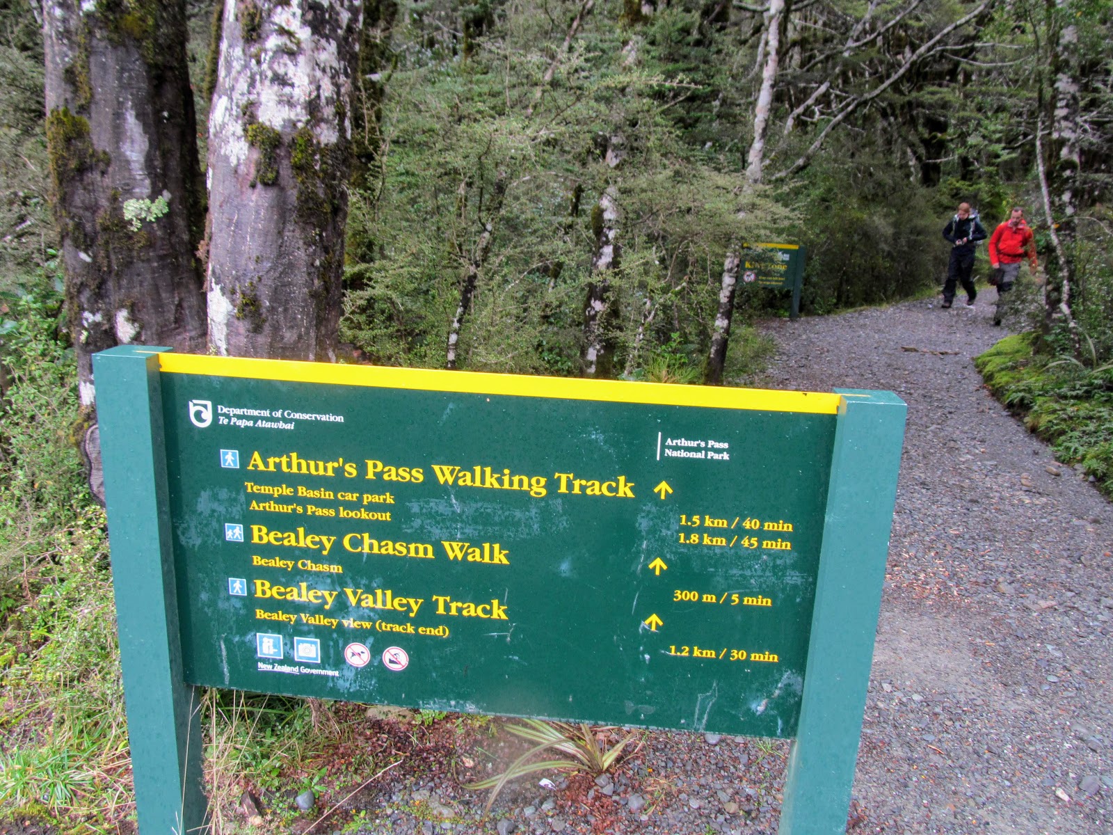 Tramping in the New Zealand backcountry: NZ Bush Adventures: Bealey ...