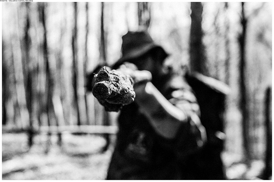 Battlefield Archaeology: An insider’s view on WW2 battle relics ...