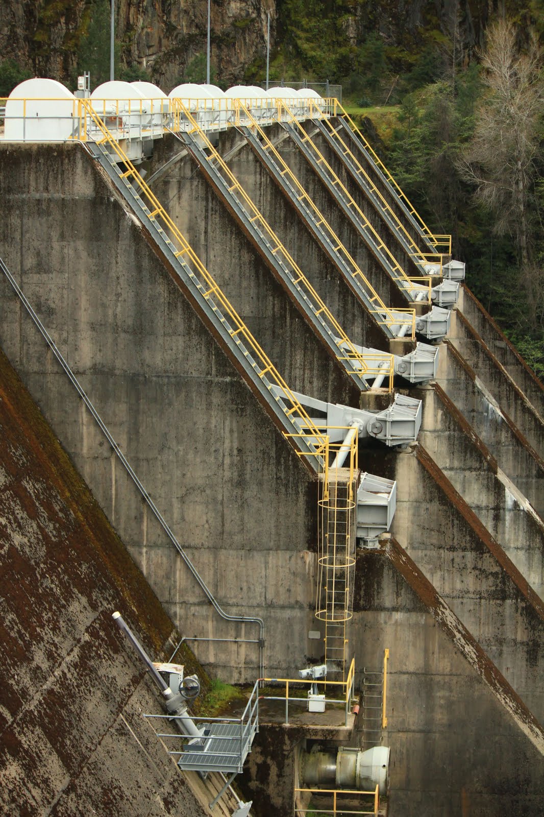 Bluebear's Photo Gallery: American River Canyon