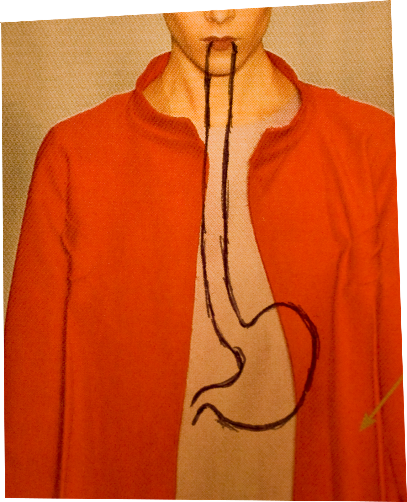 Jade Rodríguez Arroyo: Somatización de la ansiedad