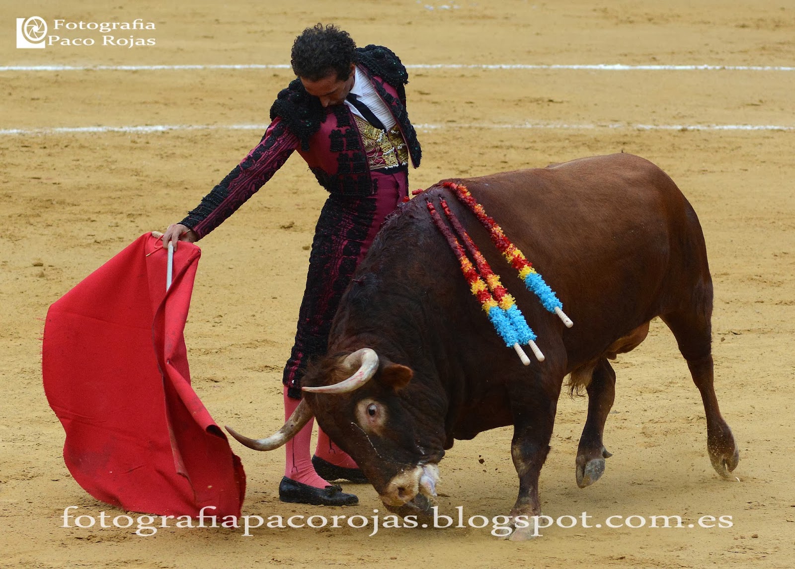 Valencia corrida de toros del 9 de octubre.