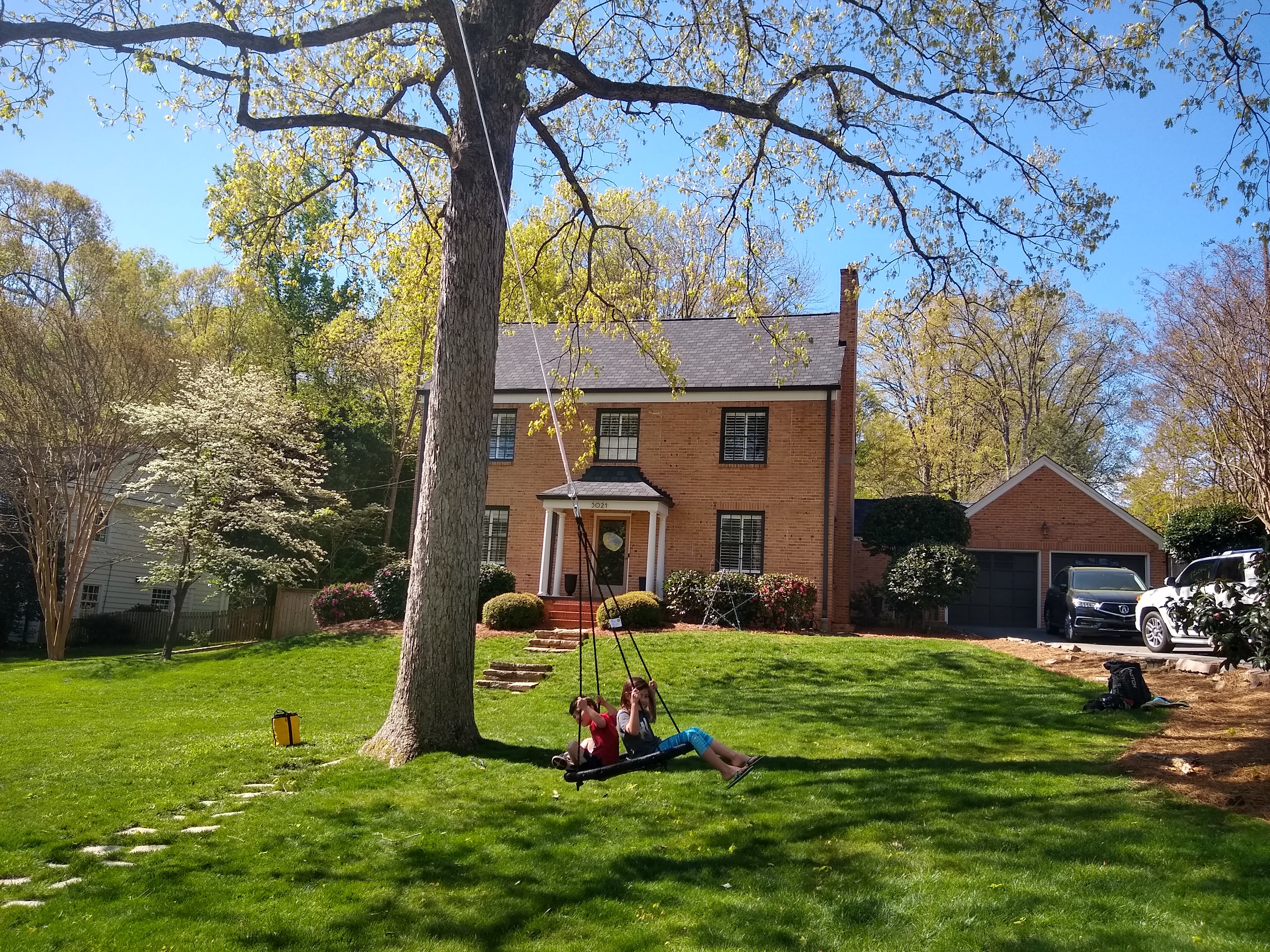 Piedmont Tree Climbing (PTC): Tree Swing Installation