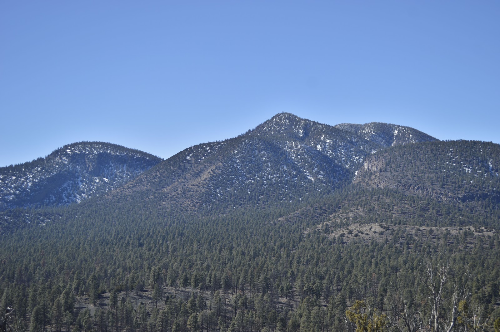 Mark Thomas - Geology: FAULTS OF THE SAN FRANCISCO VOLCANIC FIELD