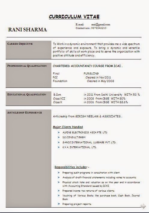 cv profile statement examples