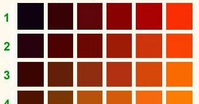 Henna Club Indonesia: Henna Color Chart