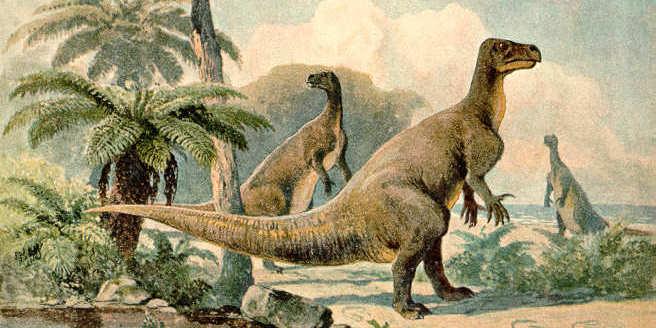 Islam,Science and Imam Ali (a.s)