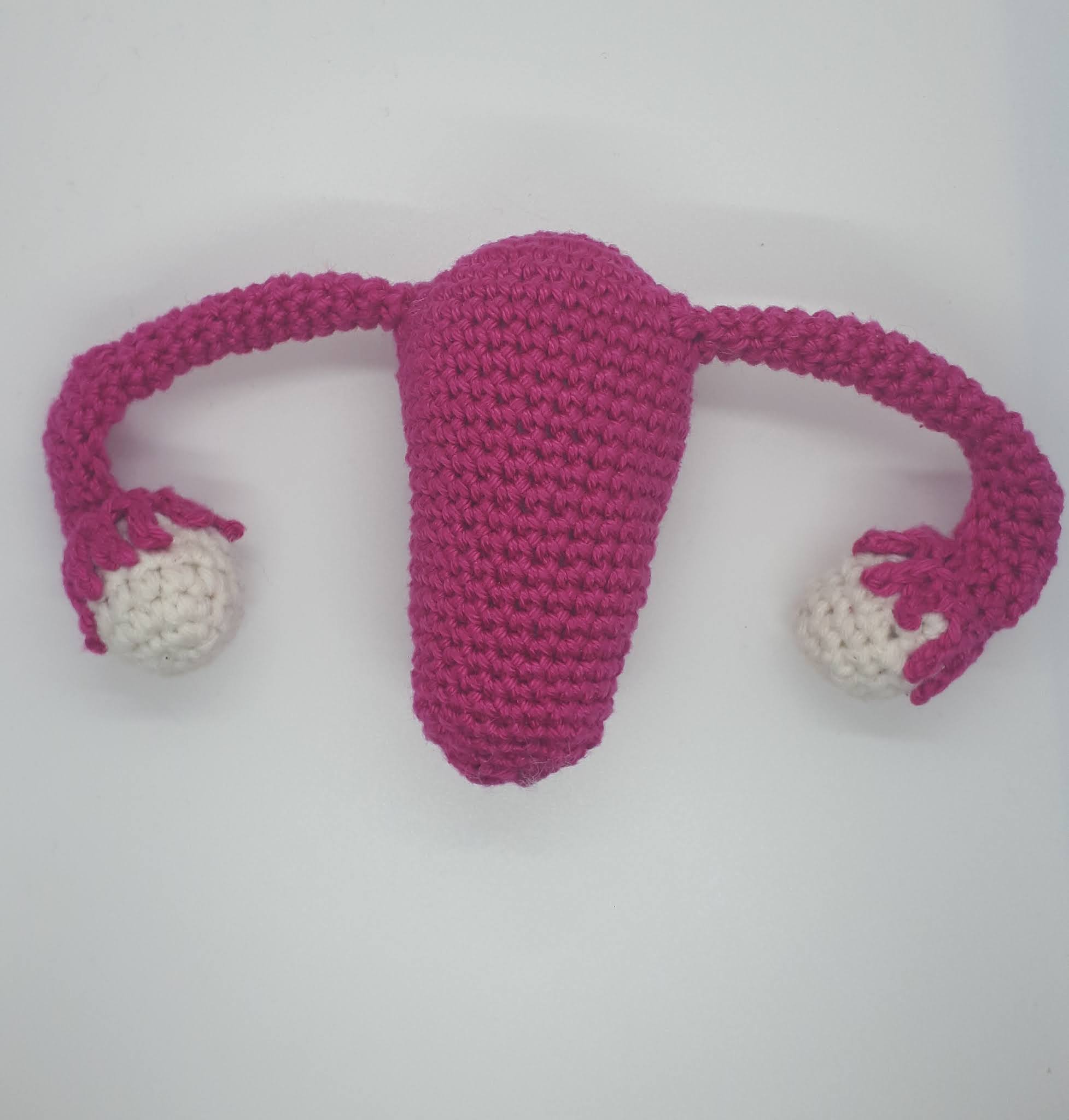Adventures into Anatomical Crochet: Female reproductive system