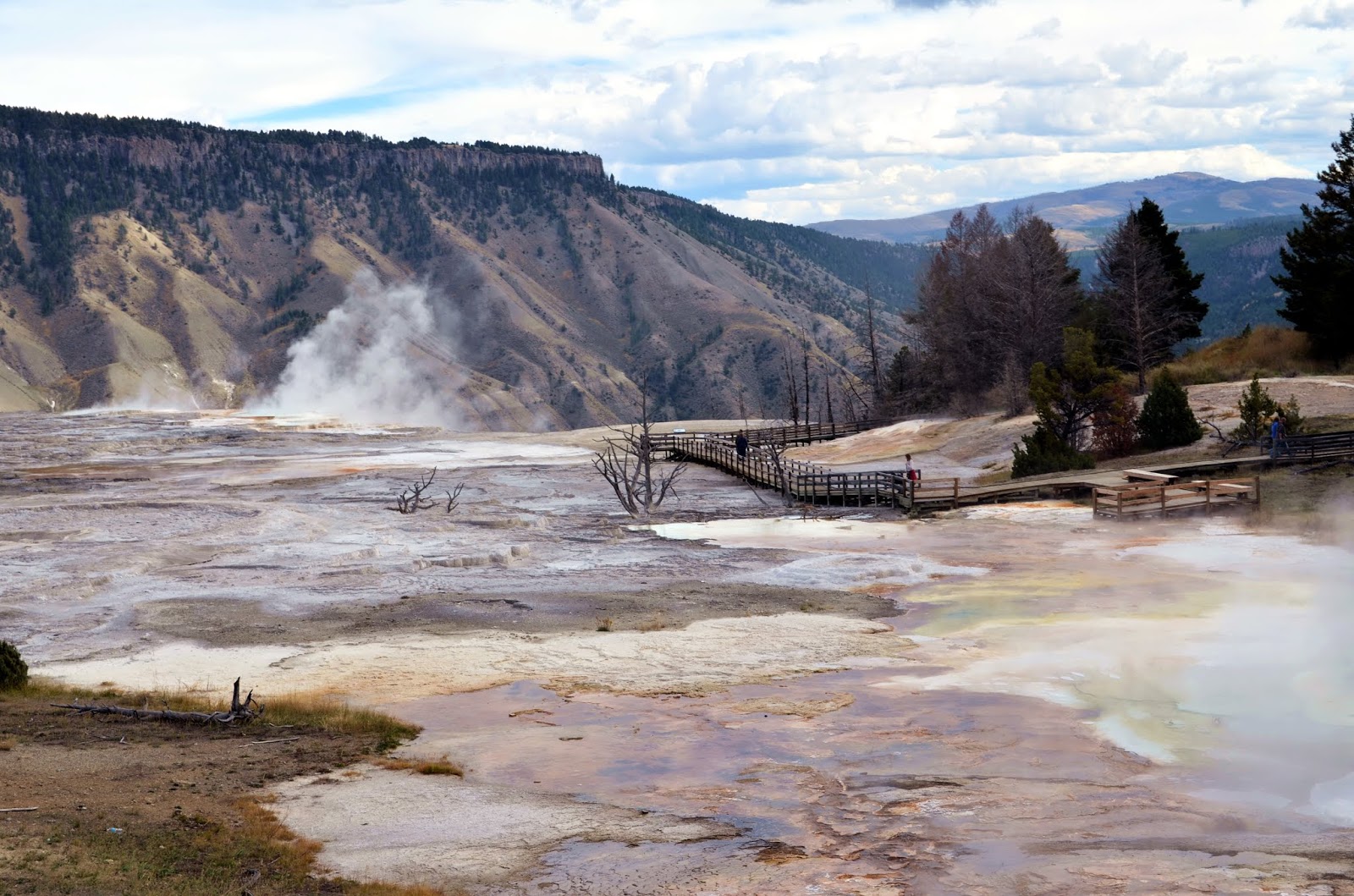 Focusing On Travel : Yellowstone: Mammoth Hot Springs are Really Cool ...