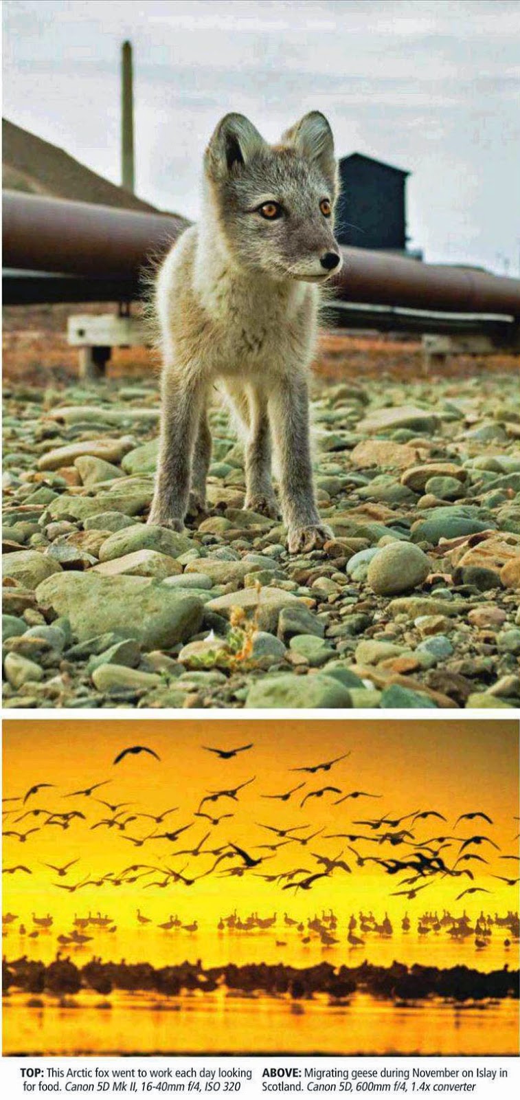 DAVID SLATER - Famous and Professional Photographer Profiles