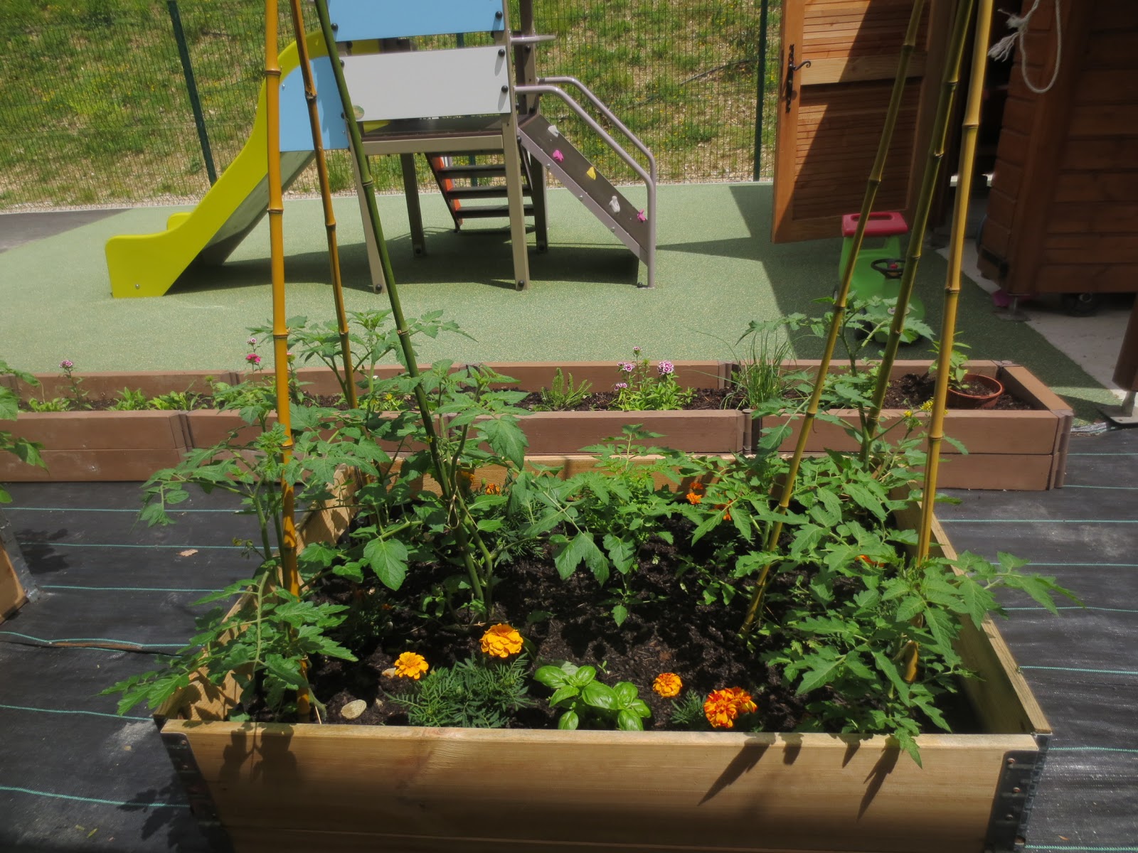 Crèche Lou Pichou: Vie à la crèche