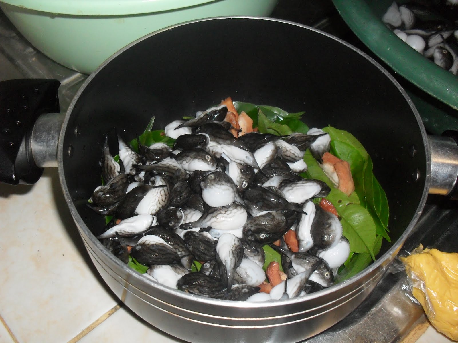 Disenyo and Istayl: Cadiz's 'Buriring', the nation's best