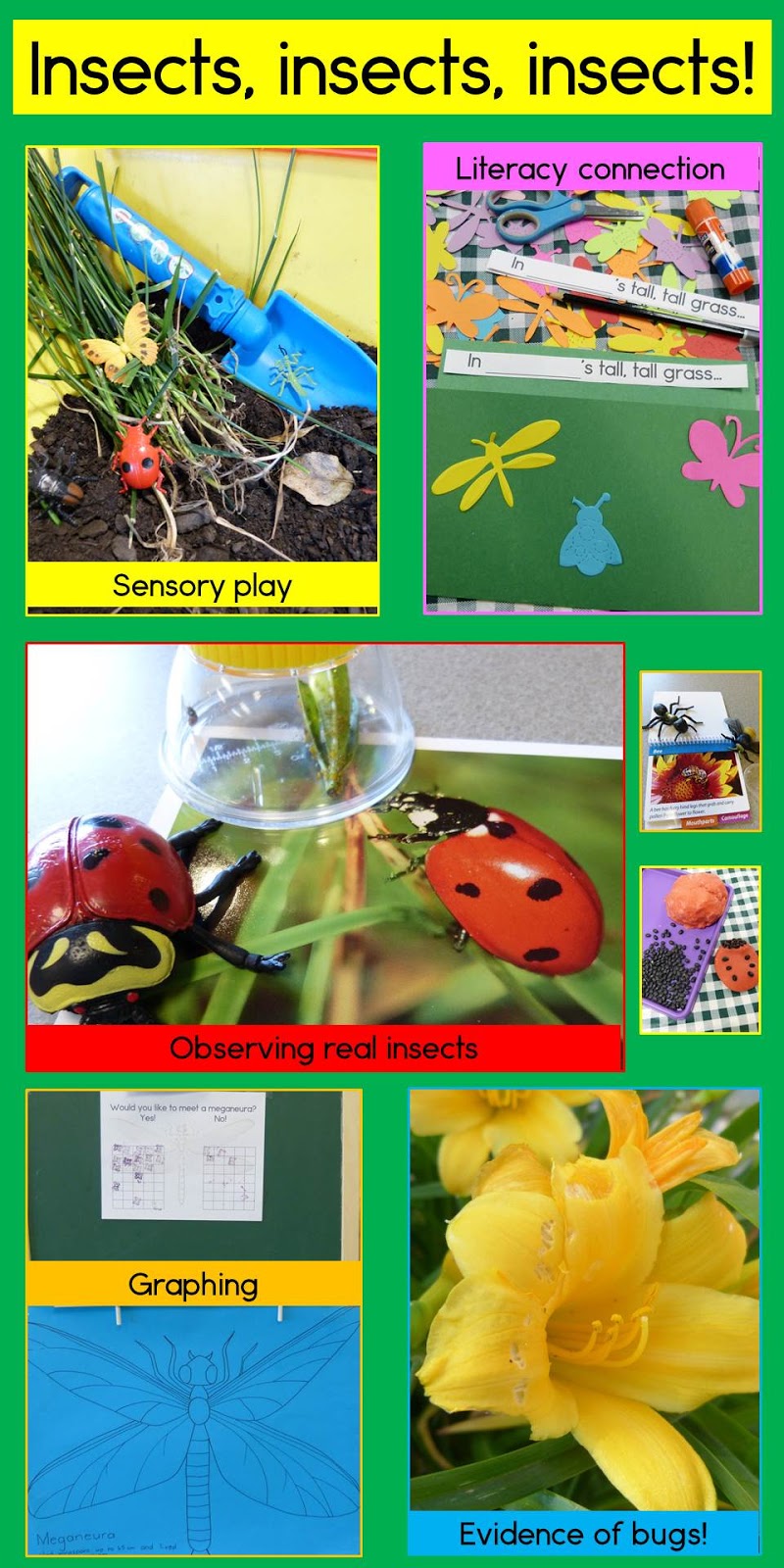 Paula's Primary Classroom: Insects, bugs and things that creep