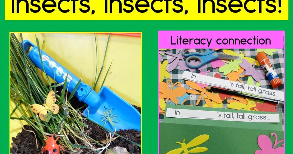 Paula's Primary Classroom: Insects, bugs and things that creep