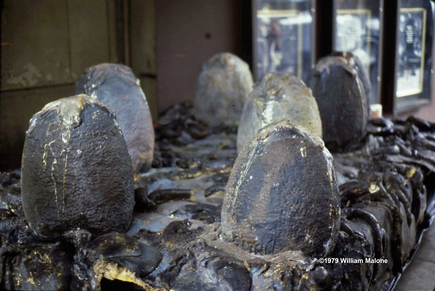 DREAMS ARE WHAT LE CINEMA IS FOR...: YOU ARE MY LUCKY STAR: ALIEN 40th ...