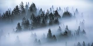 Colloid - definition, properties and examples ~ The Science Core