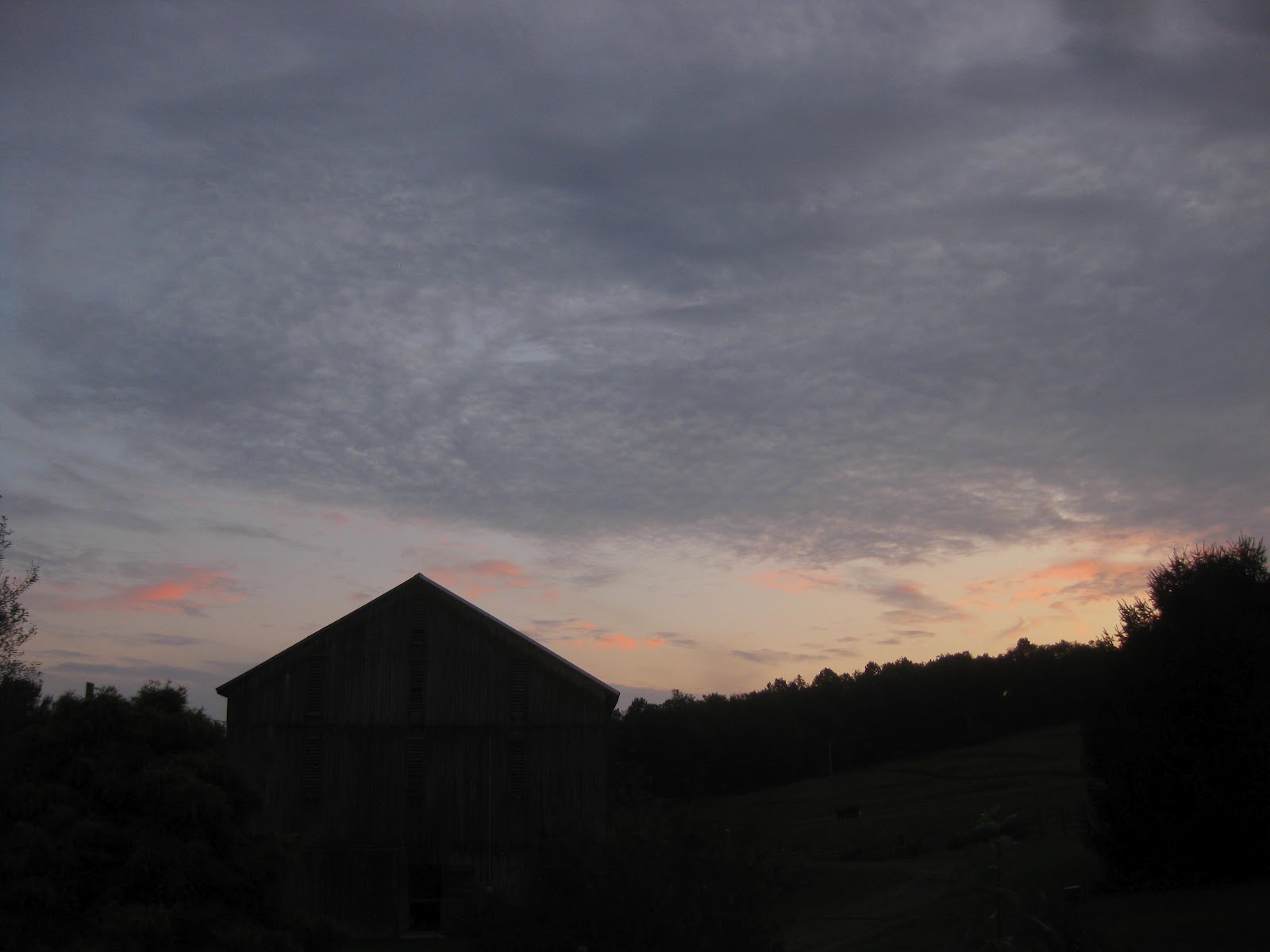On The Pond Farm: Good Night Barn! Good Night Farm! Good Night Summer!