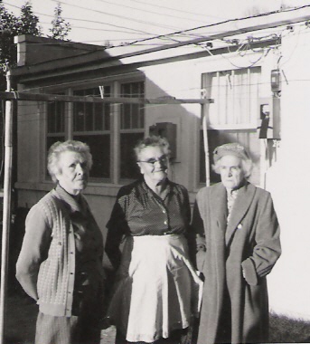 My Memory Lane: Brief History of Alice Julia Reed