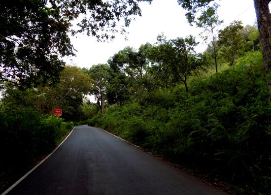 Tamilnadu Tourism: 32-Km Loop Road, Yercaud