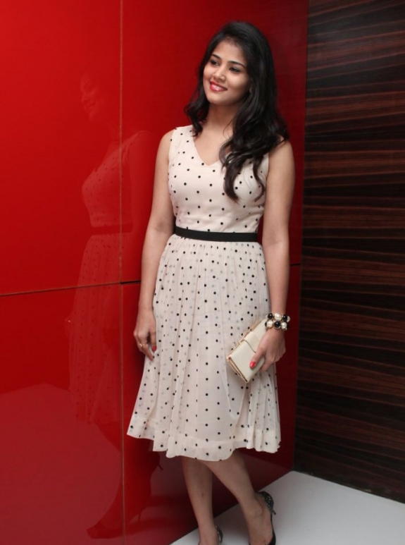 Priyanka Reddy Hot Photos