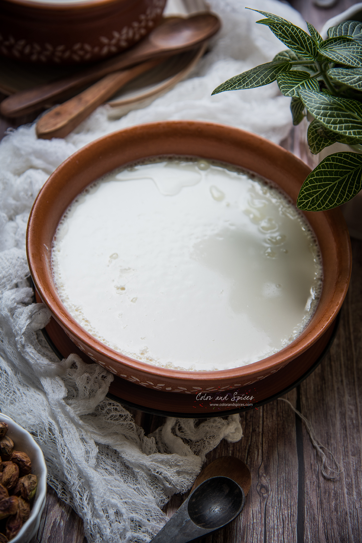 Color and Spices: Homemade curd...