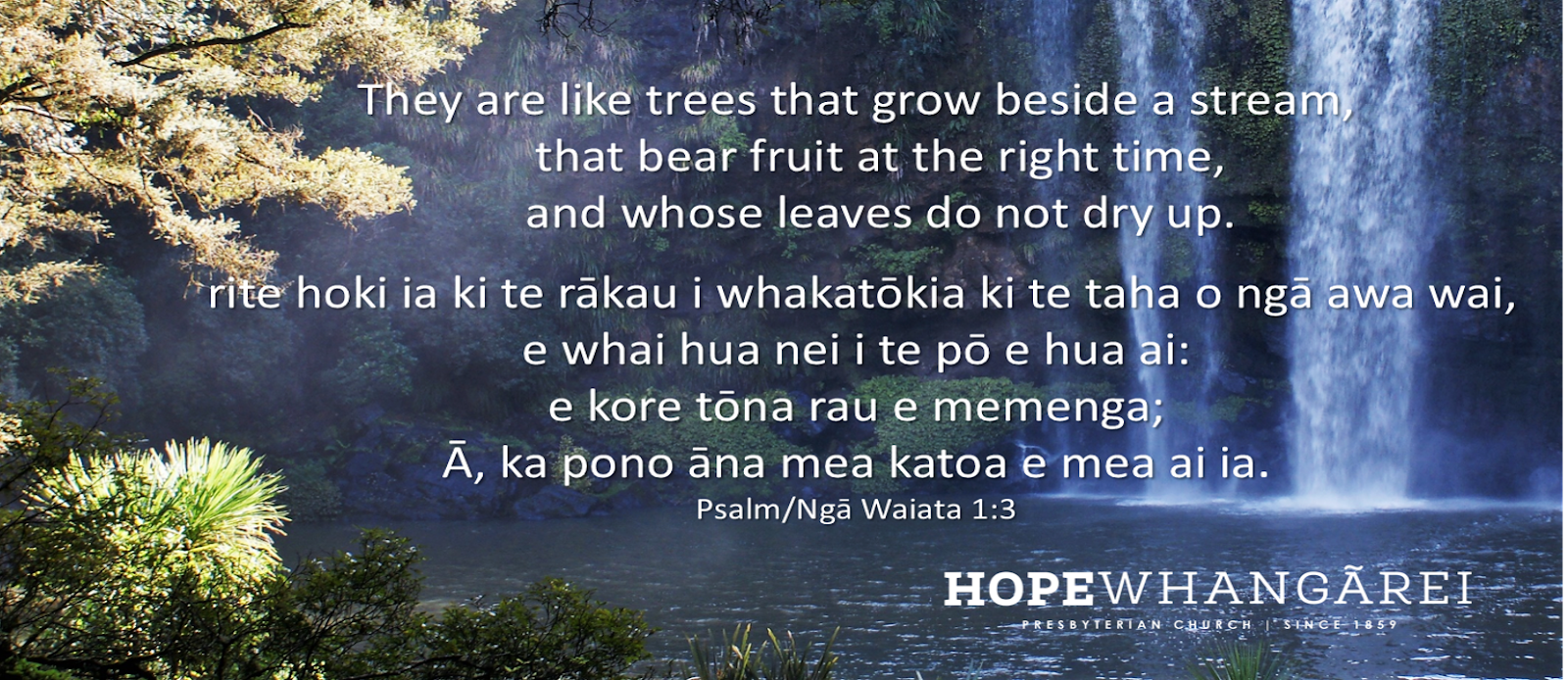 HOW IN THE WORLD!!: Psalms in the key of life: the key of life in the ...