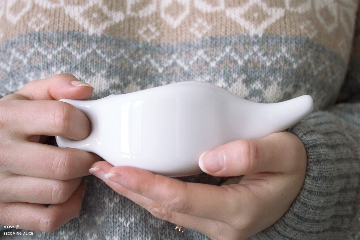 How & Why To Use A Neti Pot | Homestead Herbs & Healing | holistic living